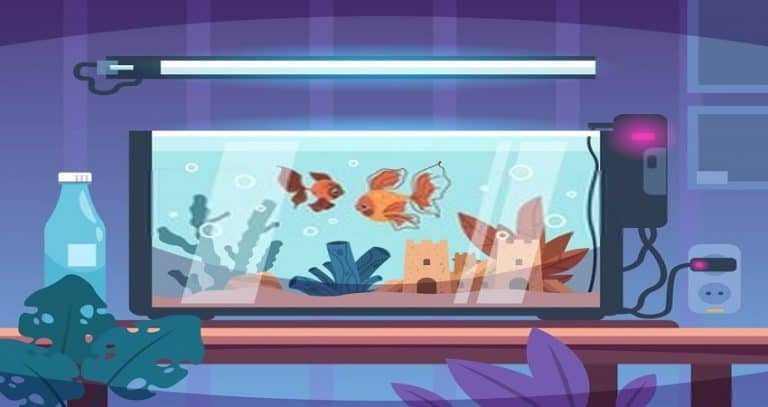 7 Best Aquarium Filter For Goldfish Tanks [ Top Ranking] | FishTrivia
