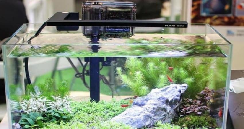 7 Best Aquarium Filter For Goldfish Tanks [ Top Ranking] | FishTrivia